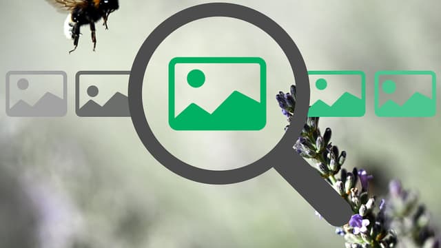 AI search - dpa Picture-Alliance